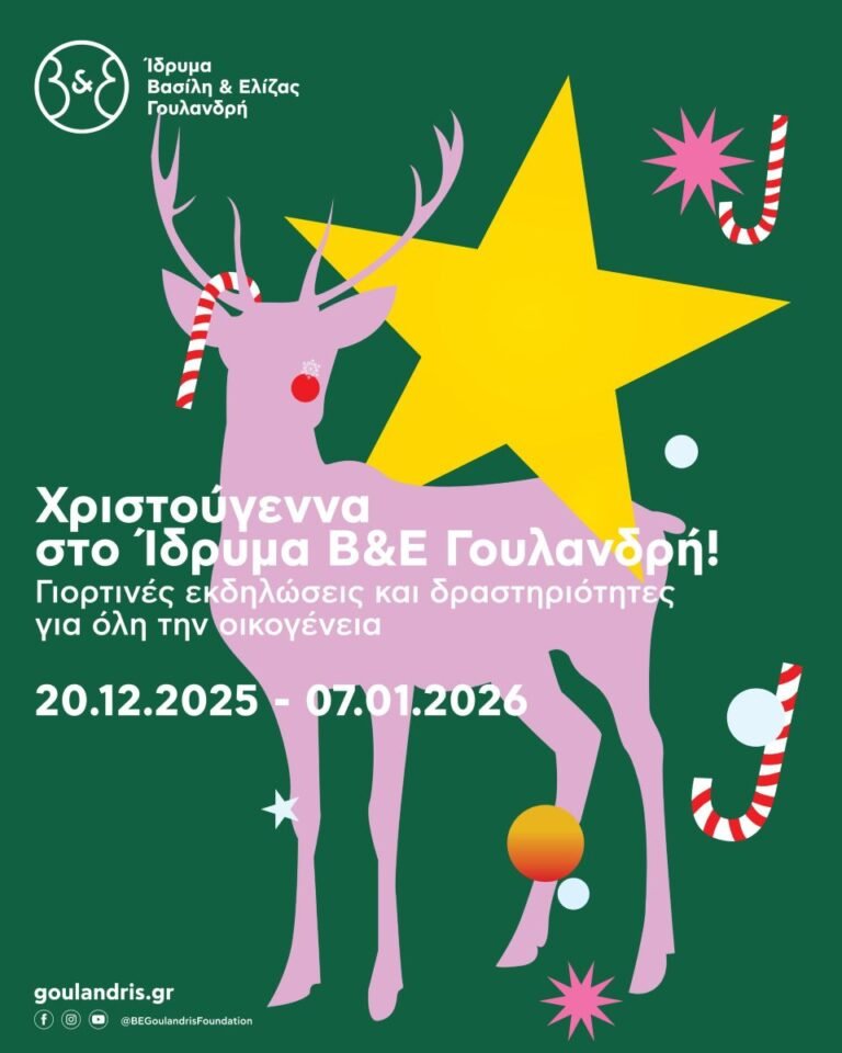 Χριστούγεννα στο Ίδρυμα Βασίλη & Ελίζας Γουλανδρή! | AndriakiPress